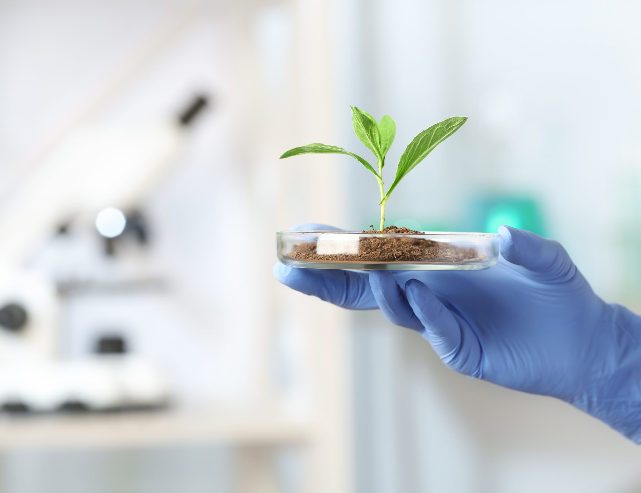 Lyfebulb and Veloxis Pharmaceuticals Seek Applicants for the Global ...